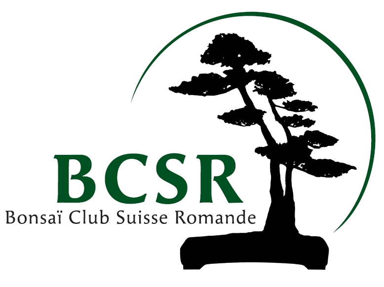 BCSR – Bonsaï Club Suisse Romande